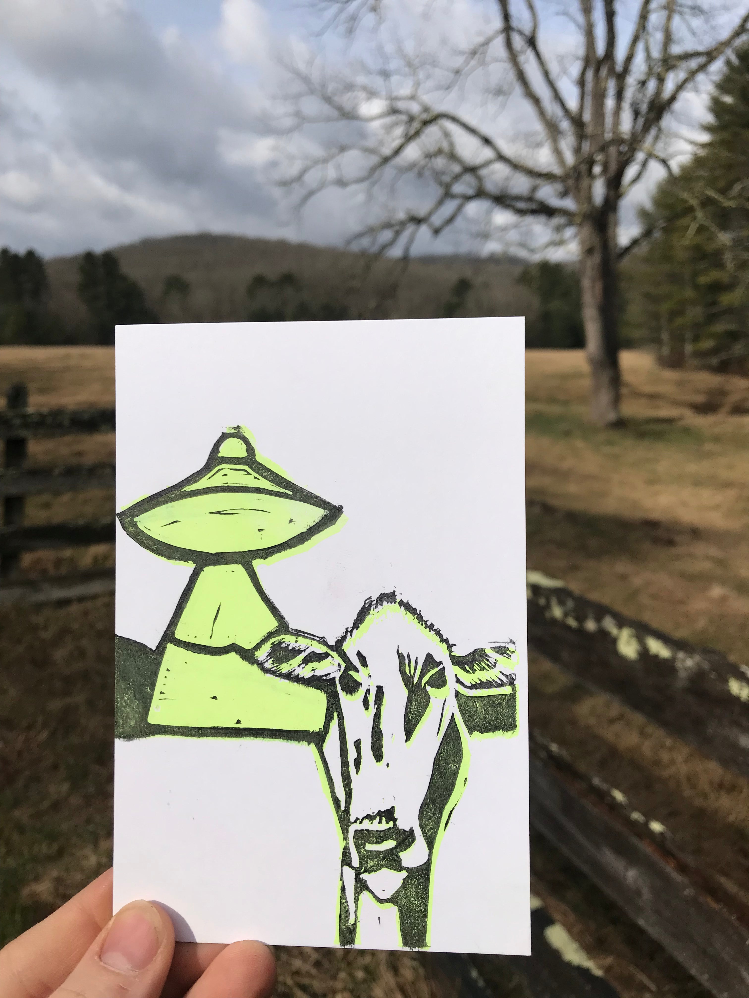 Abnormal Cow Postcard – State Line Press